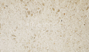 Moleanos limestone. Portugal beige limestone. Moleanos Classic ...